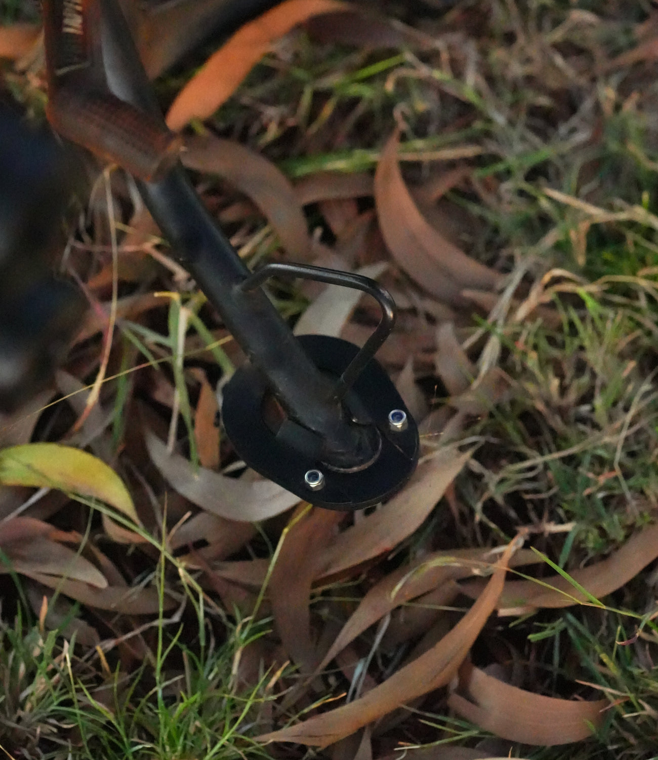 TVS Ronin Accessories – Moto Torque